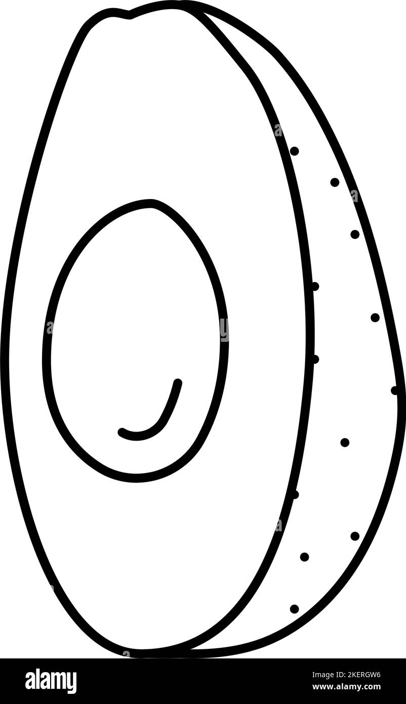 cut brown avocado line icon vector illustration Stock Vector Image ...