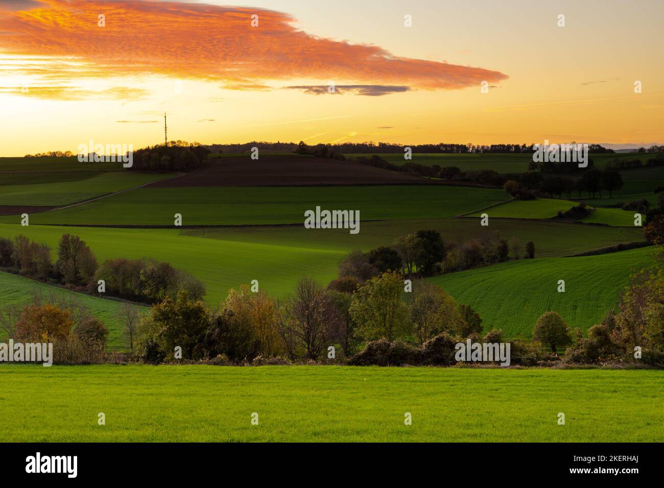Spectacular and colourful sunrise over a rolling hill landscape with ...