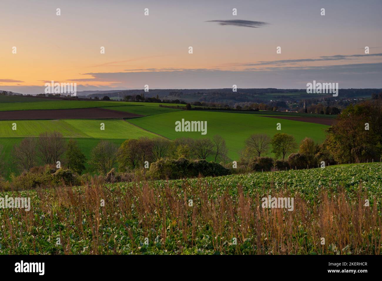 Spectacular and colourful sunrise over a rolling hill landscape with ...