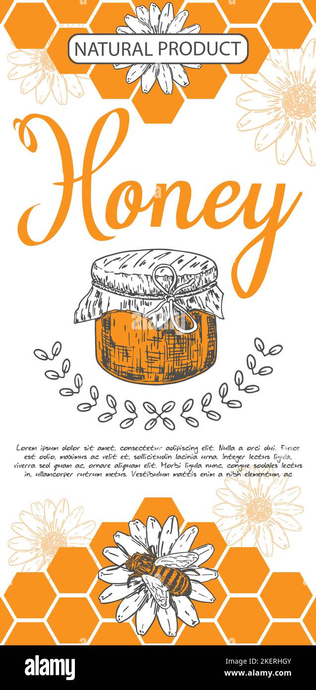 Honey flyer vector. Natural product hand drawn advertisement. Detailed ...