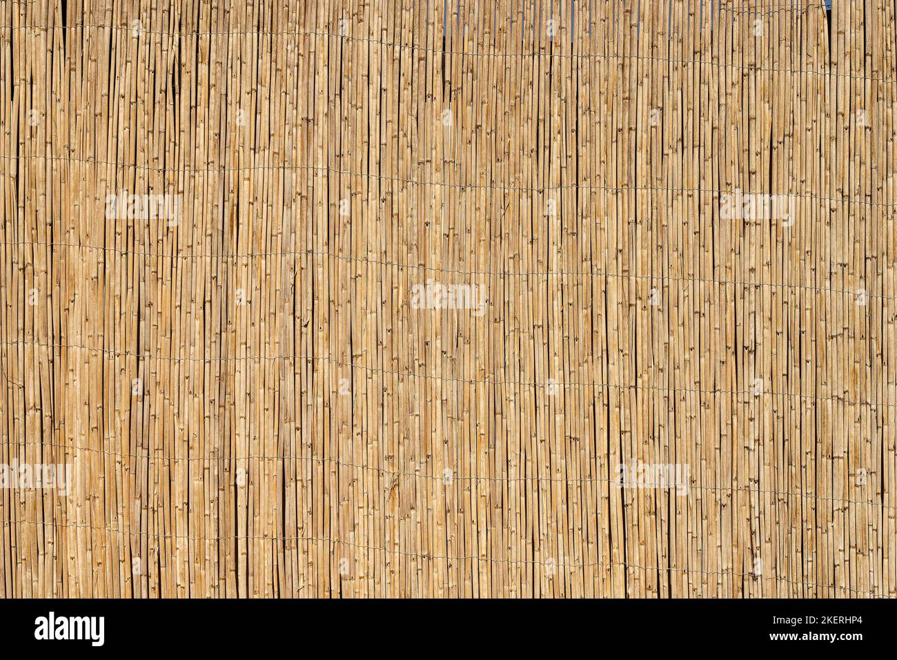 Bamboo background. Wooden texture bamboo plant on the decorative wall. High quality photo Stock ...