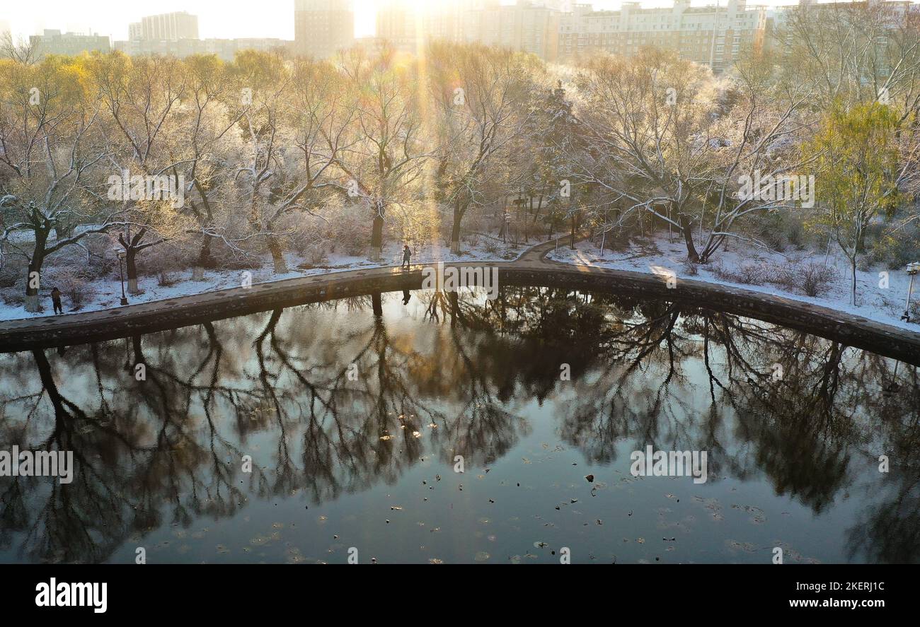 Aerial photo shows the beautiful scenery of Beiling Park after snow in ...