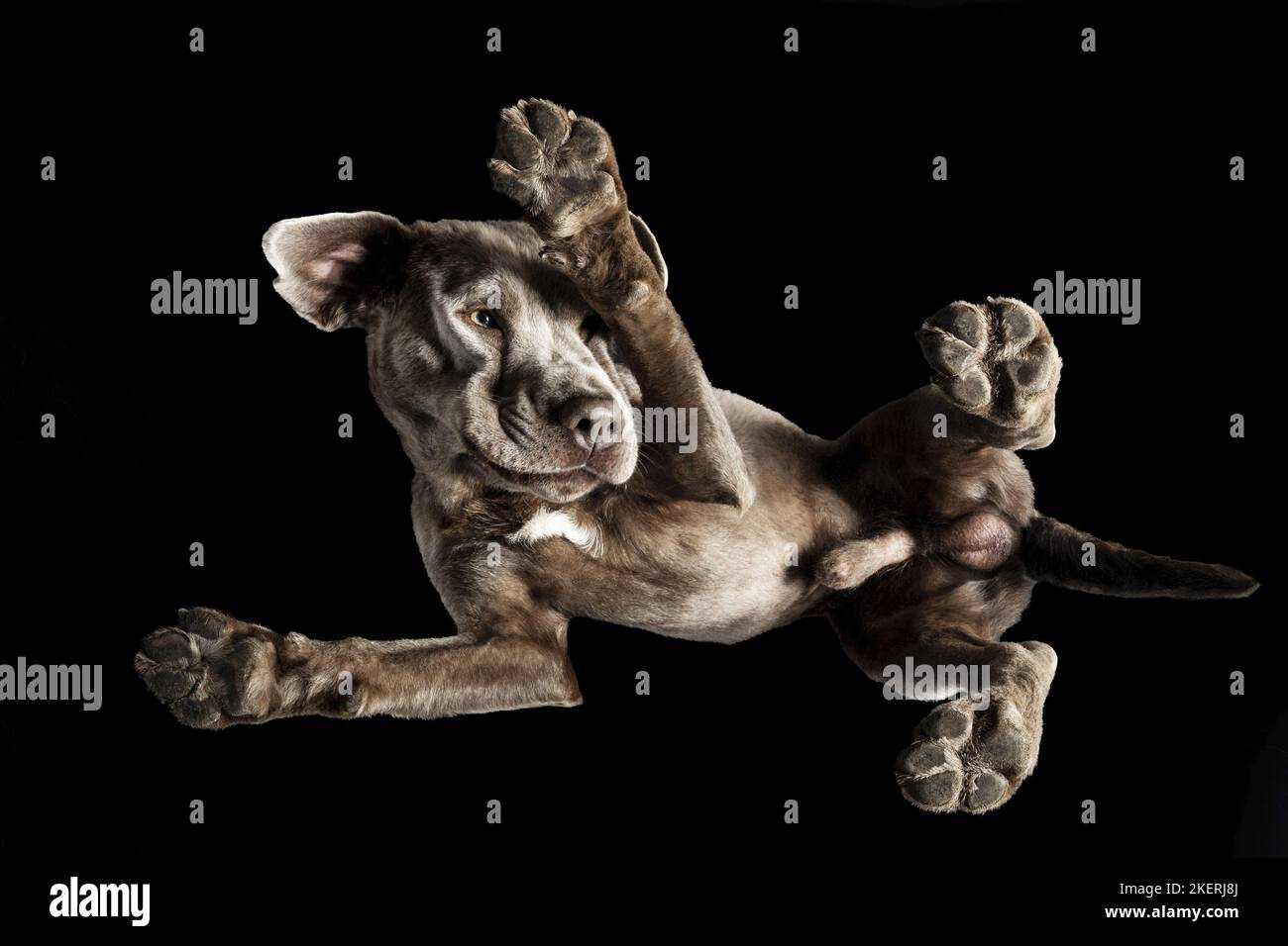 Below medium size hi-res stock photography and images - Alamy