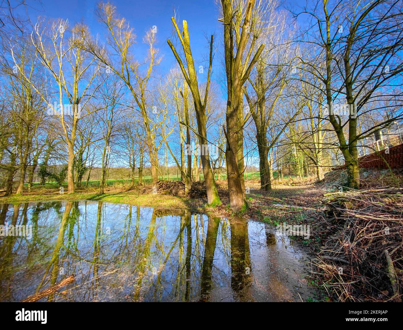 water castle with trees and reflections in water Stock Photo - Alamy