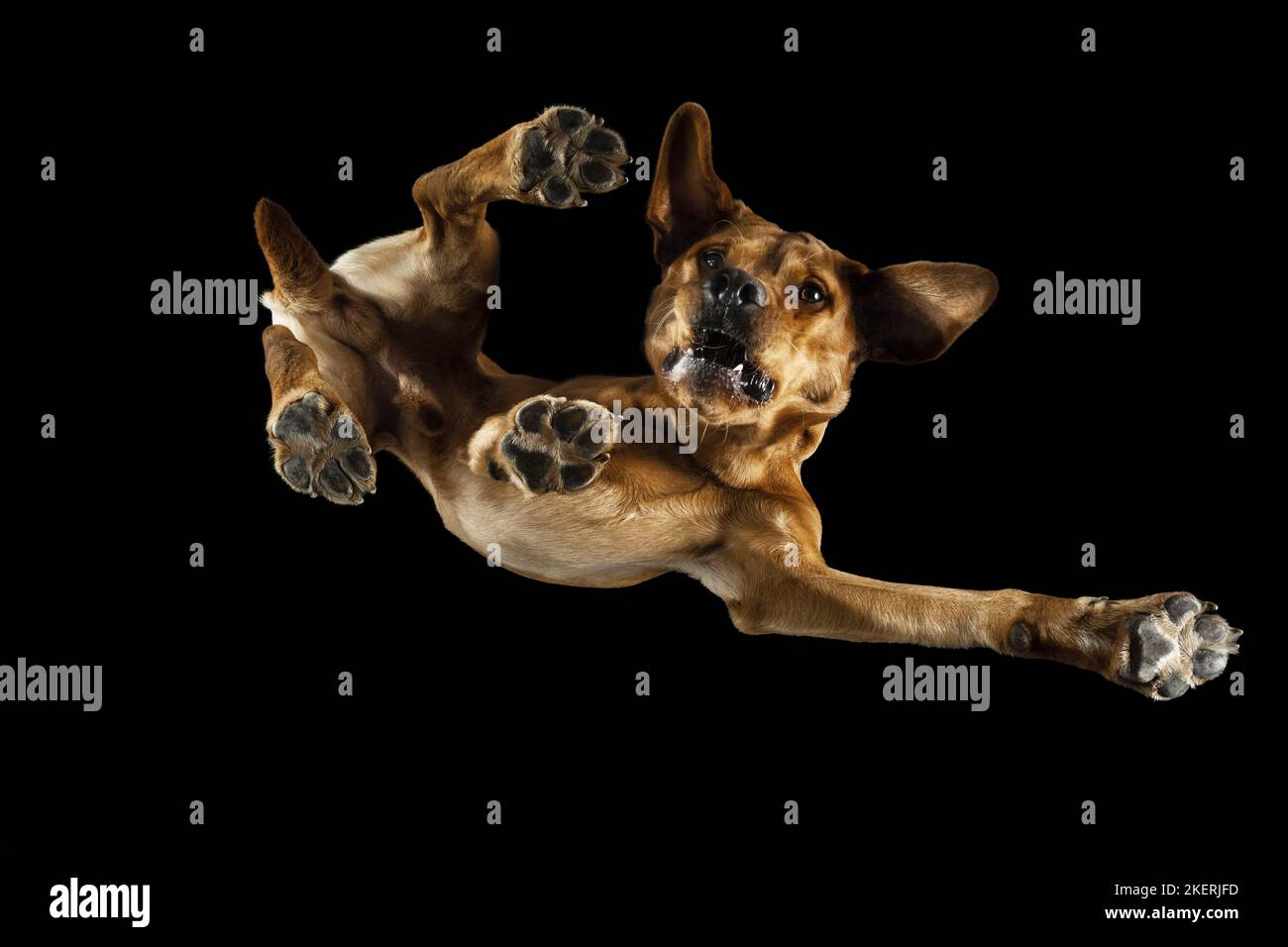 Below medium size hi-res stock photography and images - Alamy