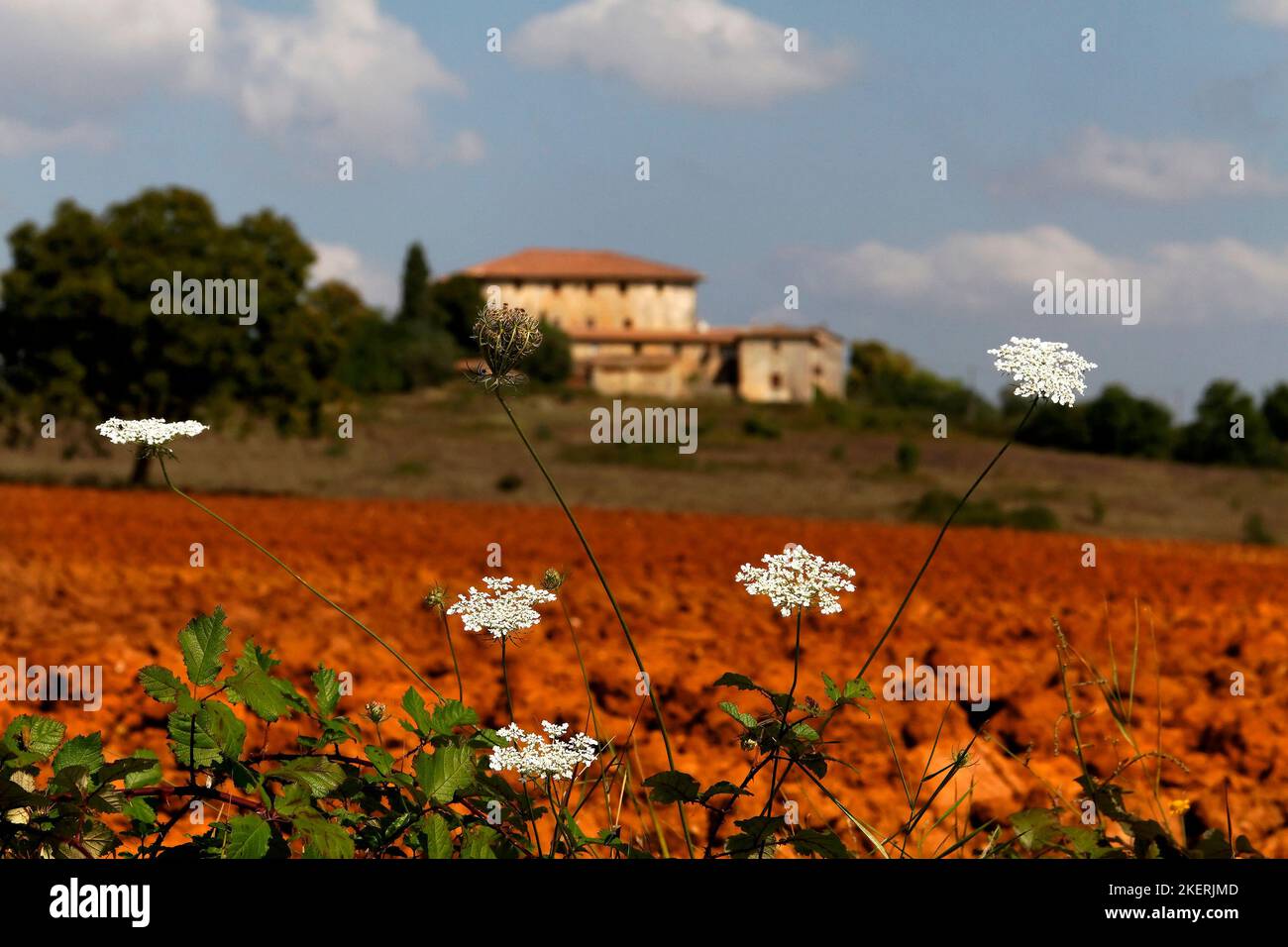 Tuscanian farmhouse hi-res stock photography and images - Alamy