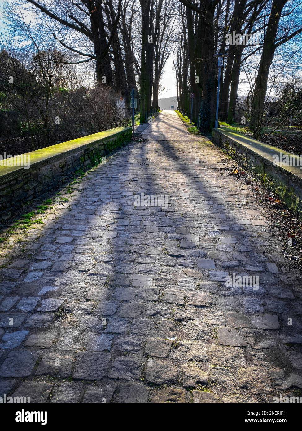 water castle with trees and reflections in water Stock Photo - Alamy