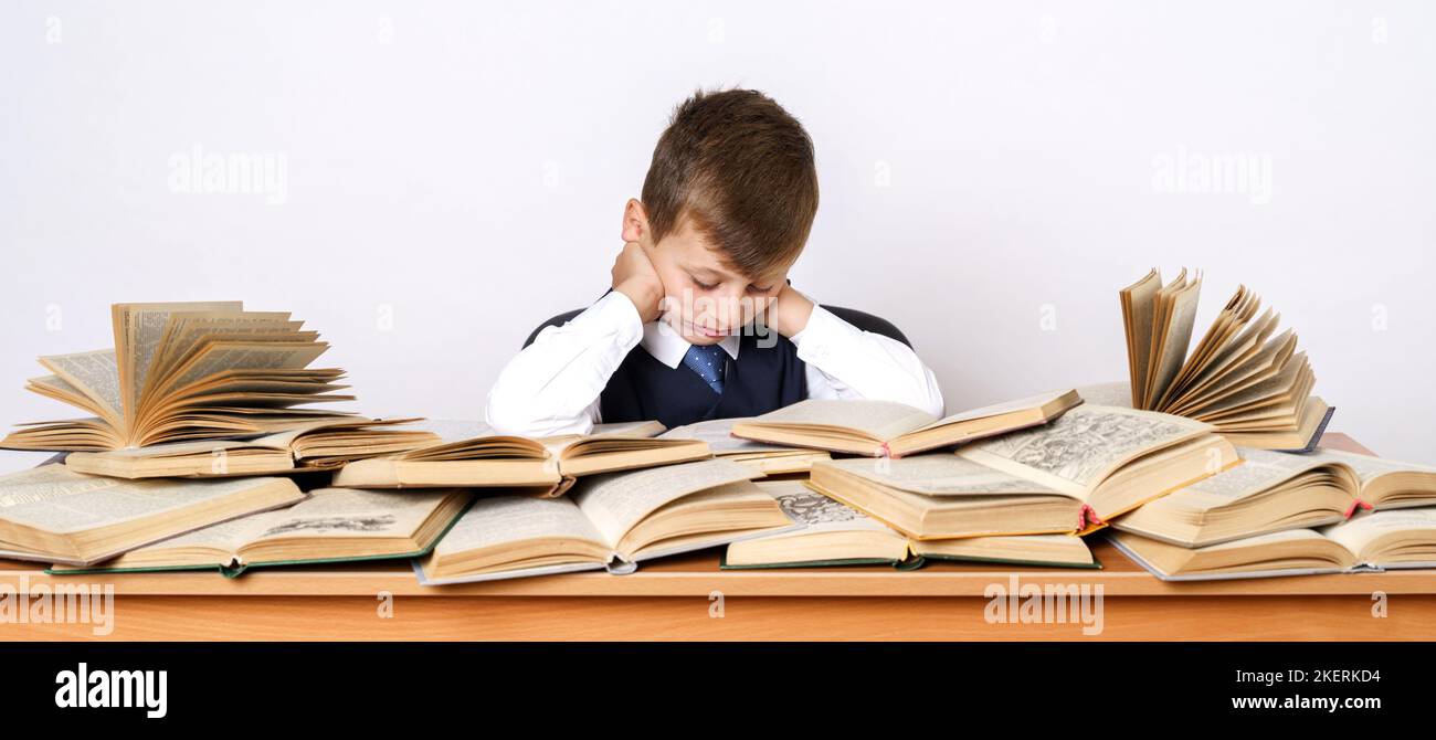 Education concept. The student does homework, reads a book. There are ...
