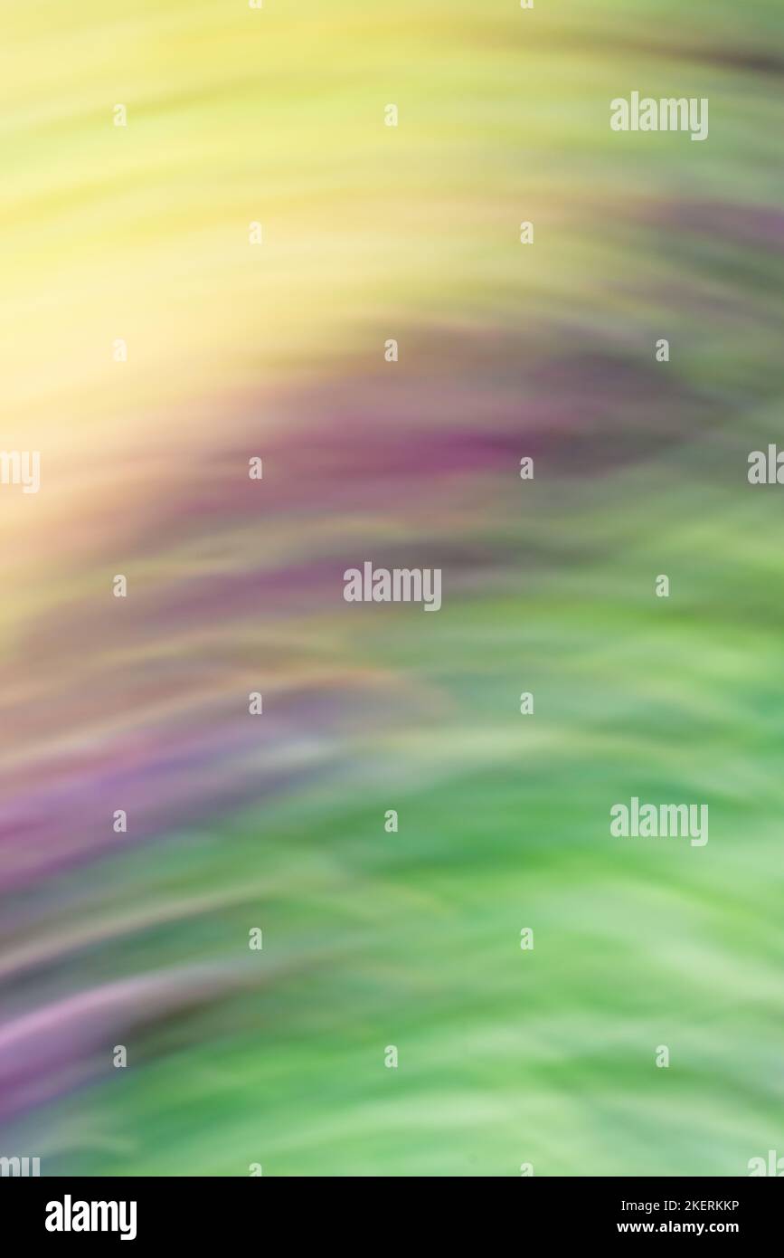Colorful blurry background, Mix of colors in motion Stock Photo - Alamy