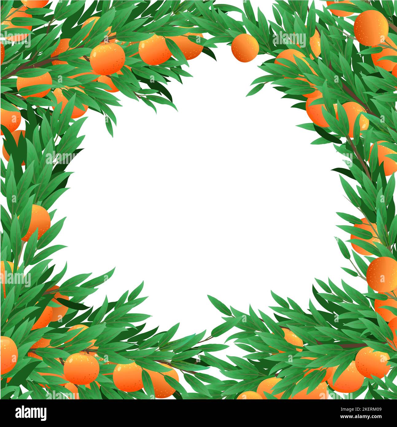 Fresh orange branches Stock Vector Images - Alamy