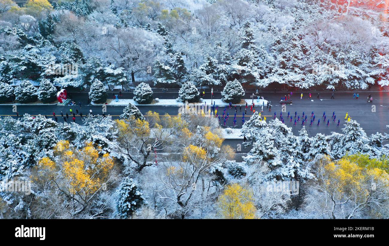 Aerial photo shows the beautiful scenery of Beiling Park after snow in ...