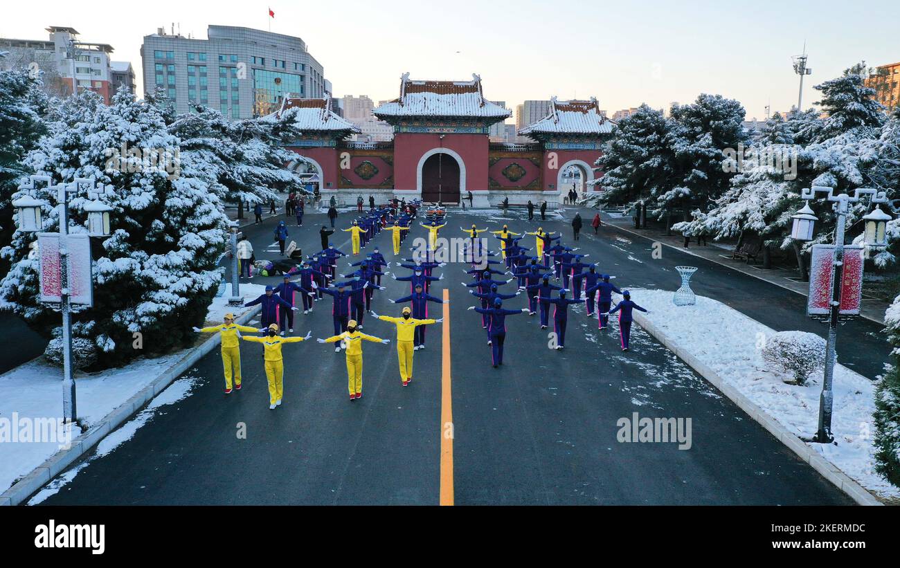 Aerial photo shows the beautiful scenery of Beiling Park after snow in ...