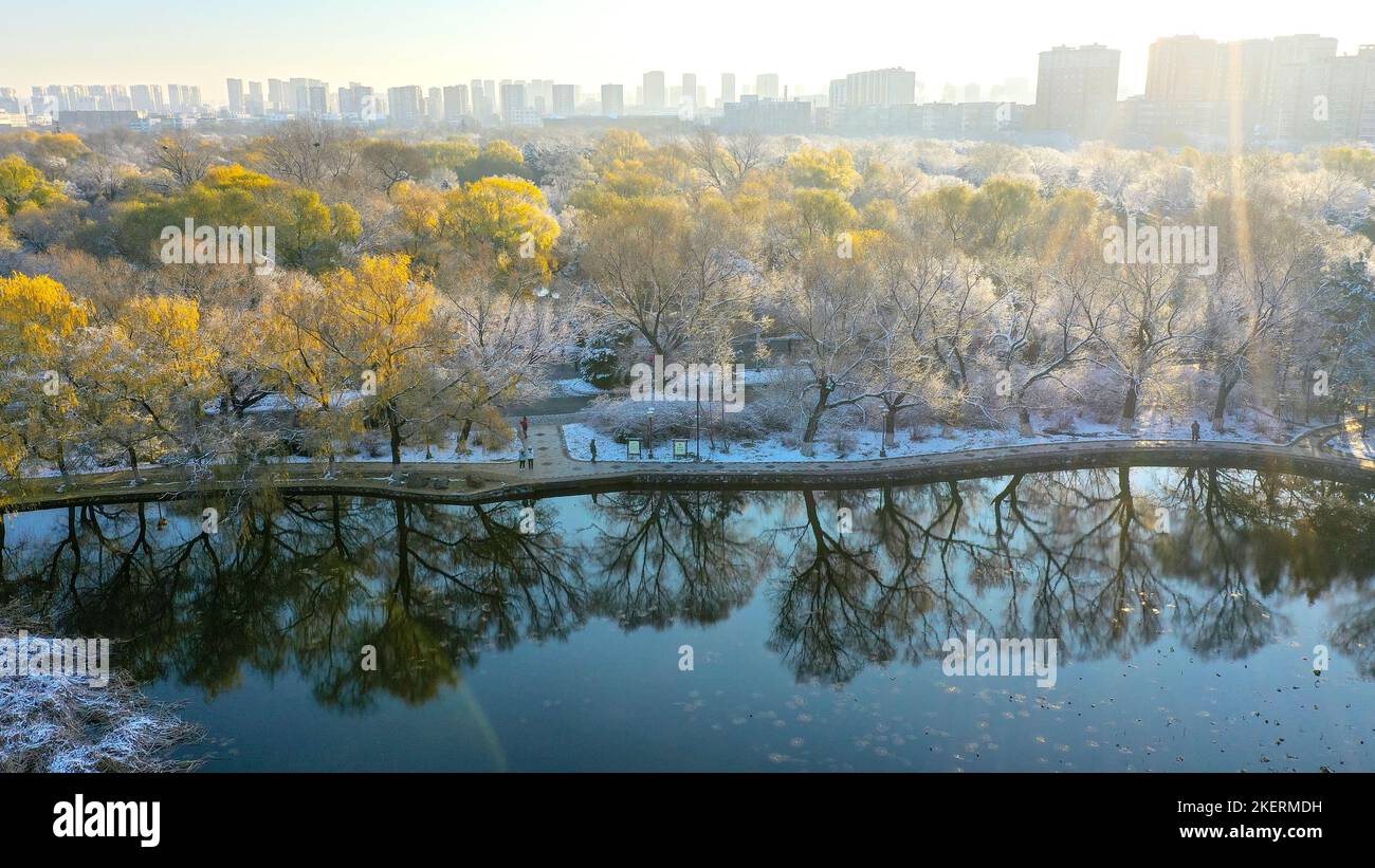 Aerial photo shows the beautiful scenery of Beiling Park after snow in ...