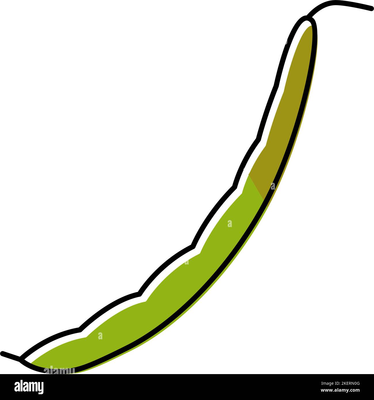 green bean pod color icon vector illustration Stock Vector Image & Art ...