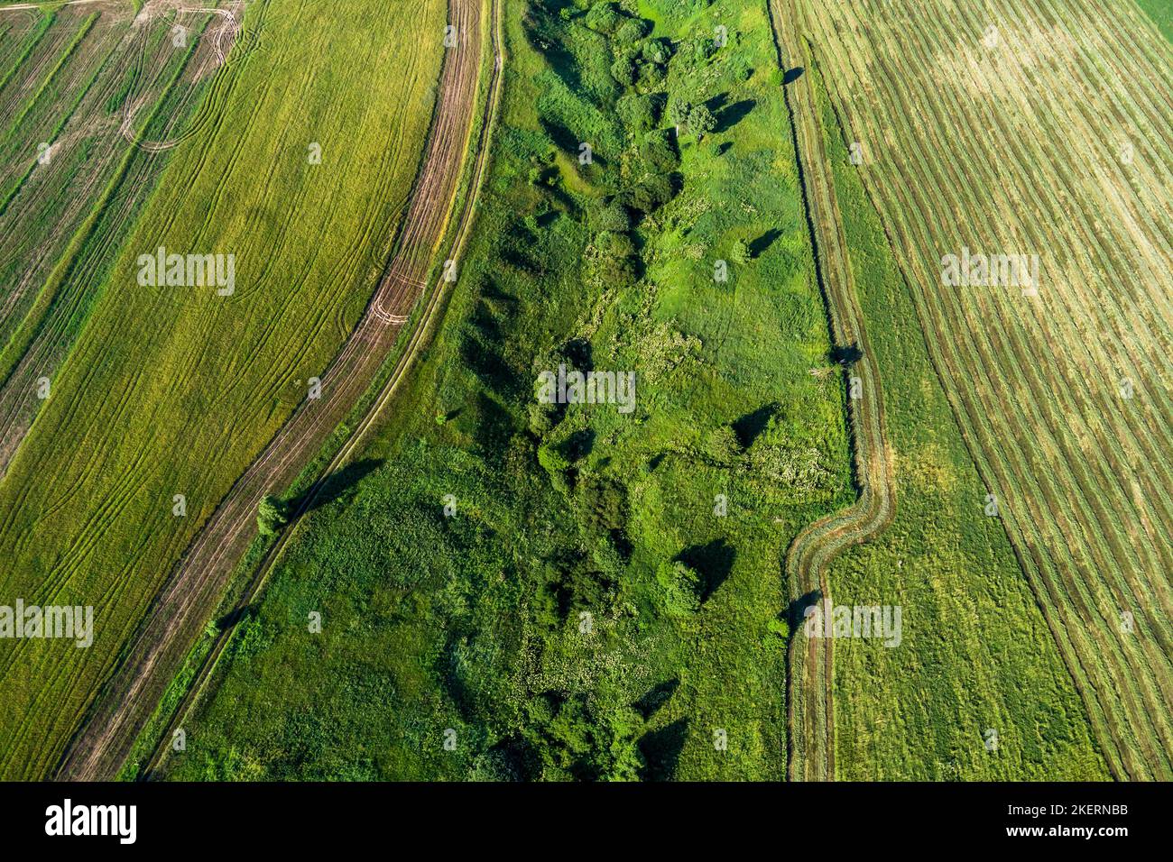 Aerial view of an overgrown ravine crossing a green field, rural ...