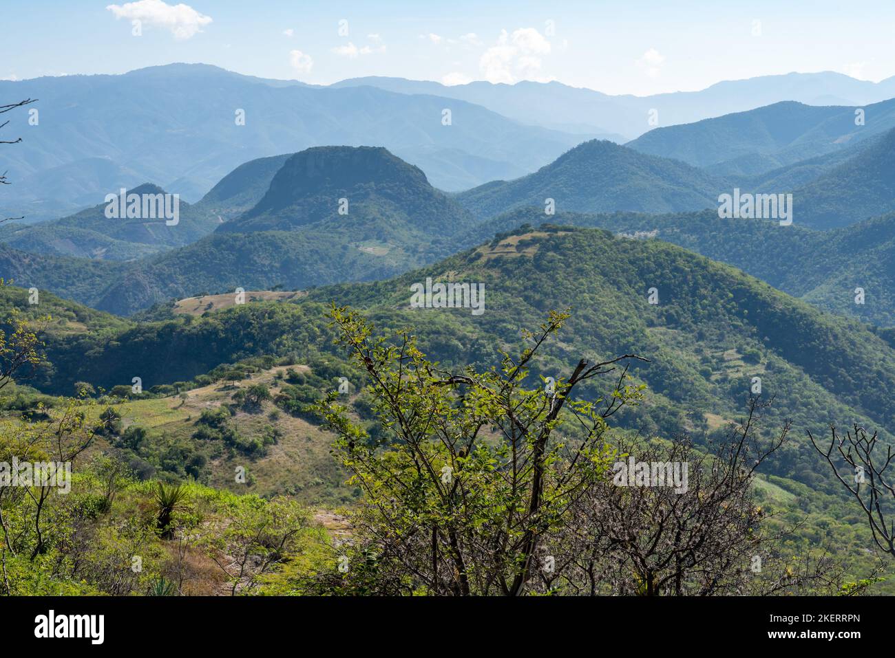 Hazy foothills in the Sierra Mixe Range of the Sierra Madre de Oaxaca ...