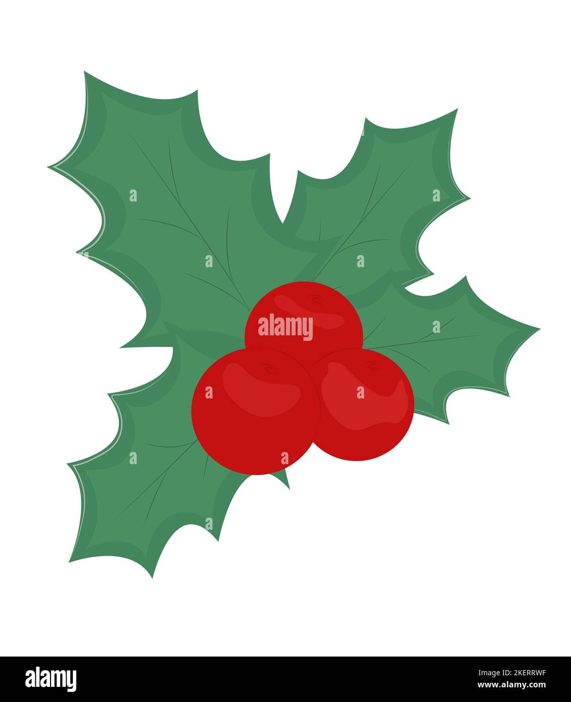 Cartoon christmas holly berries hi-res stock photography and images - Alamy