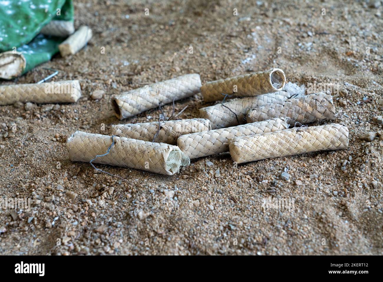 Palm leaf nests for holding cochineal insects until they are ready to ...