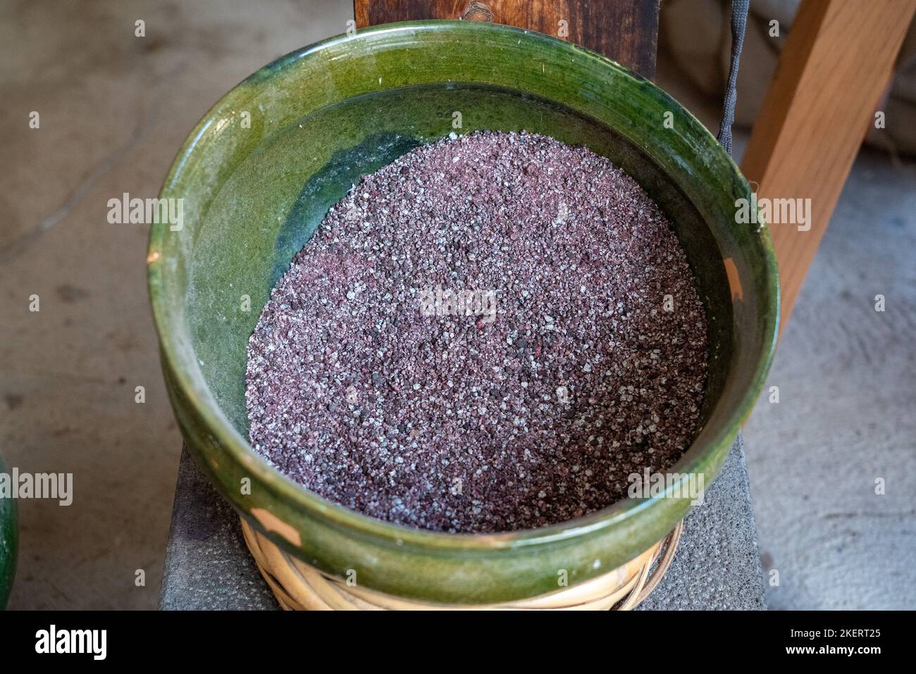 Container of dried female cochineal insects for making cochineal red ...