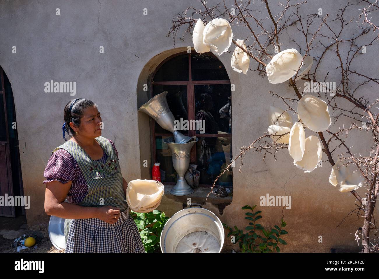 Indigenous art forms hi-res stock photography and images - Alamy
