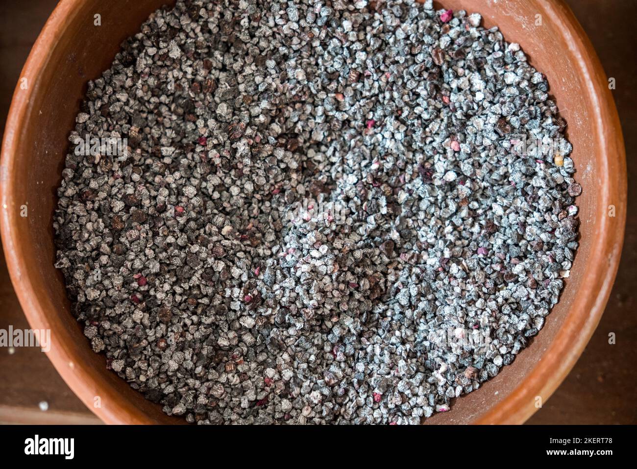 Dried cochineal insects are ground to make a natural red dye for dying ...
