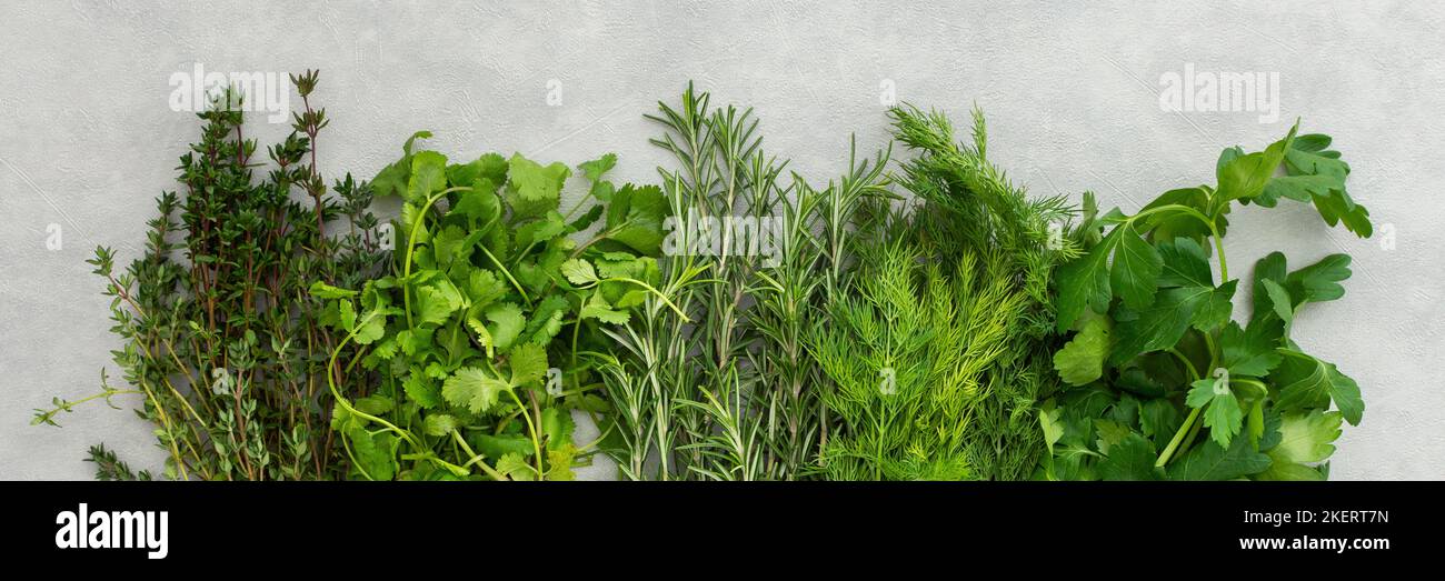 Thyme and rosemary, cilantro and parsley, dill, different types of ...