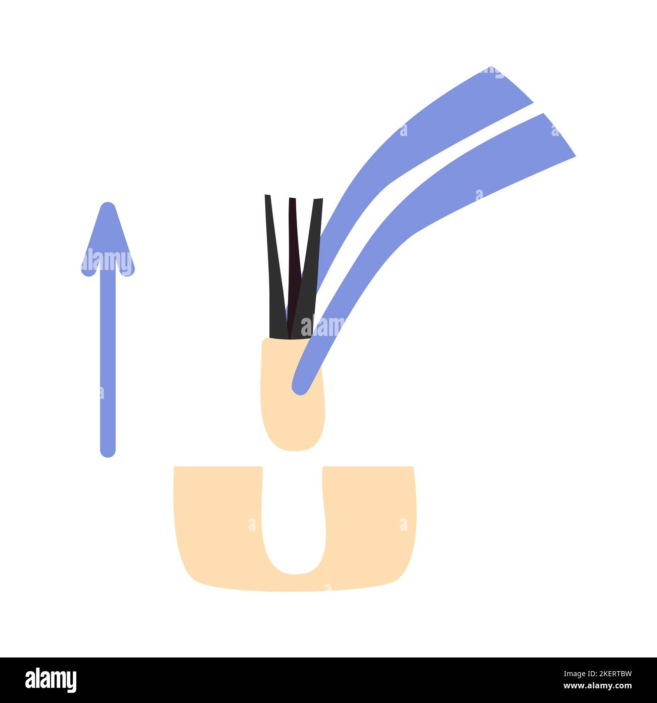Hair transplant forceps with hair follicle icon Stock Vector Image ...