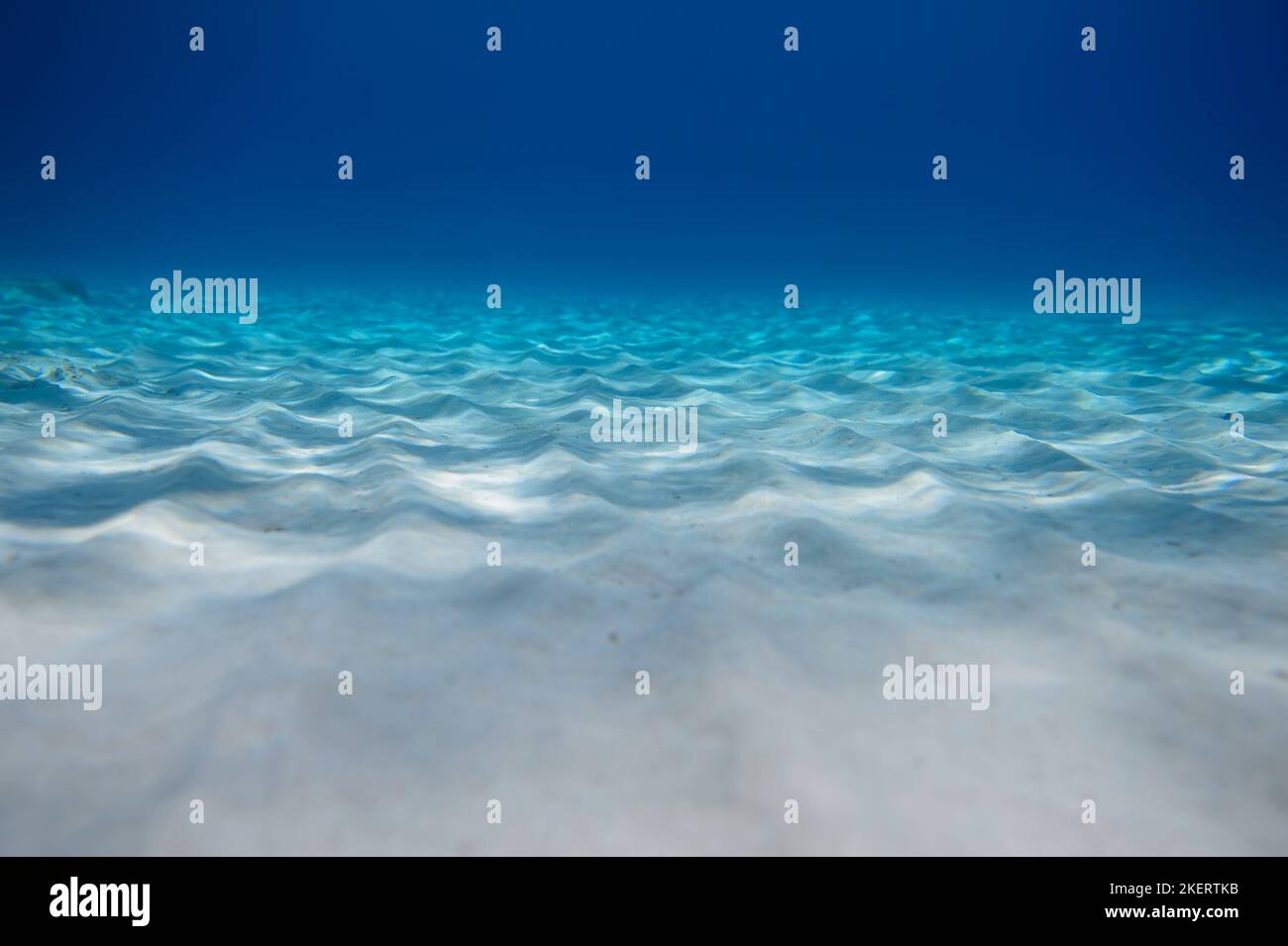 Shallow depth of field clear sea water. Underwater background with ...