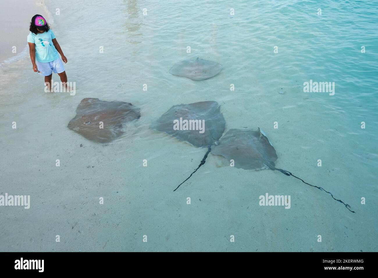 Fulidhoo is a calm and peaceful beach where you can find stingrays and ...