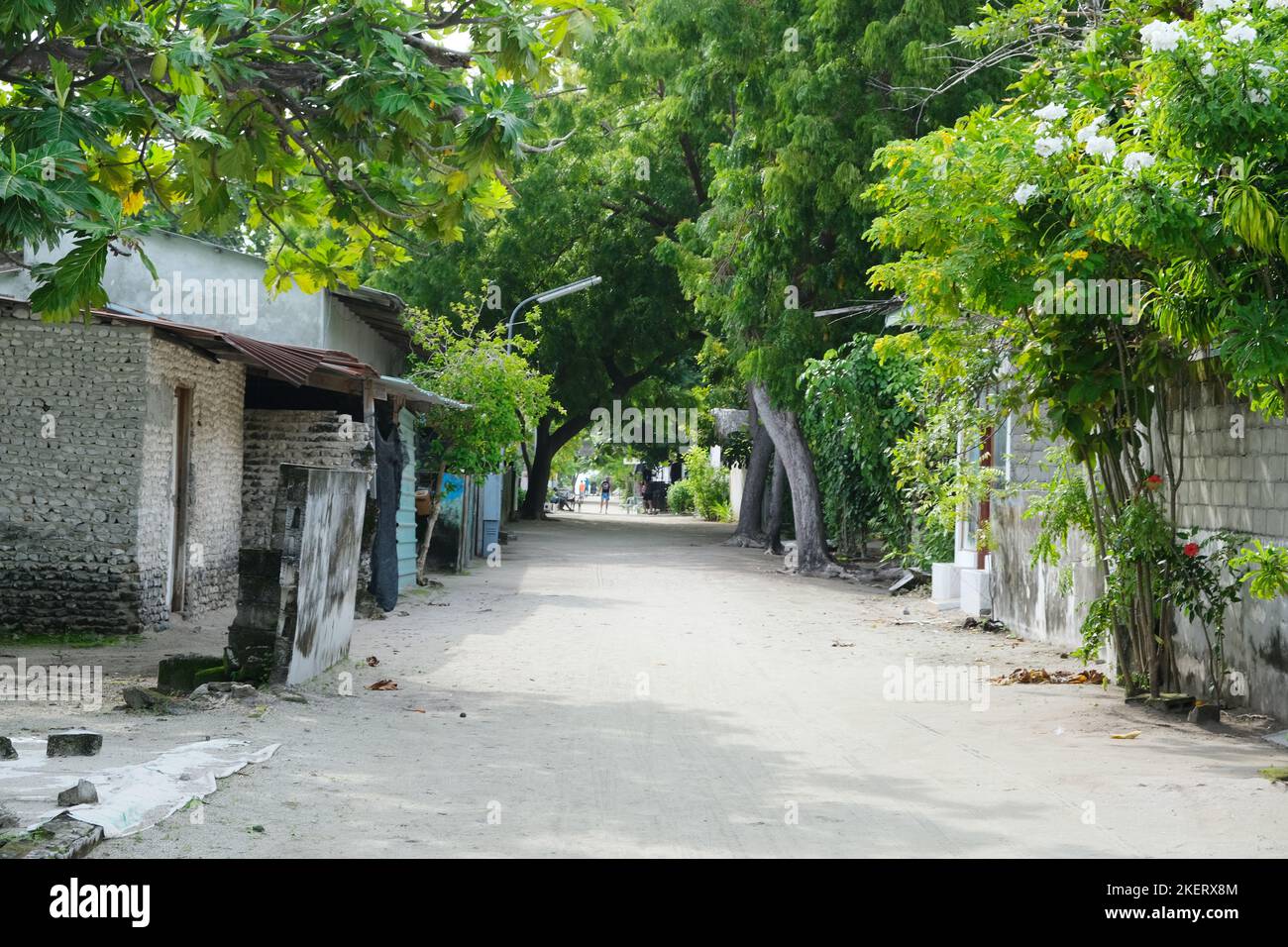 The resident area of Fulidhoo. Fulidhoo is the most northern of the ...