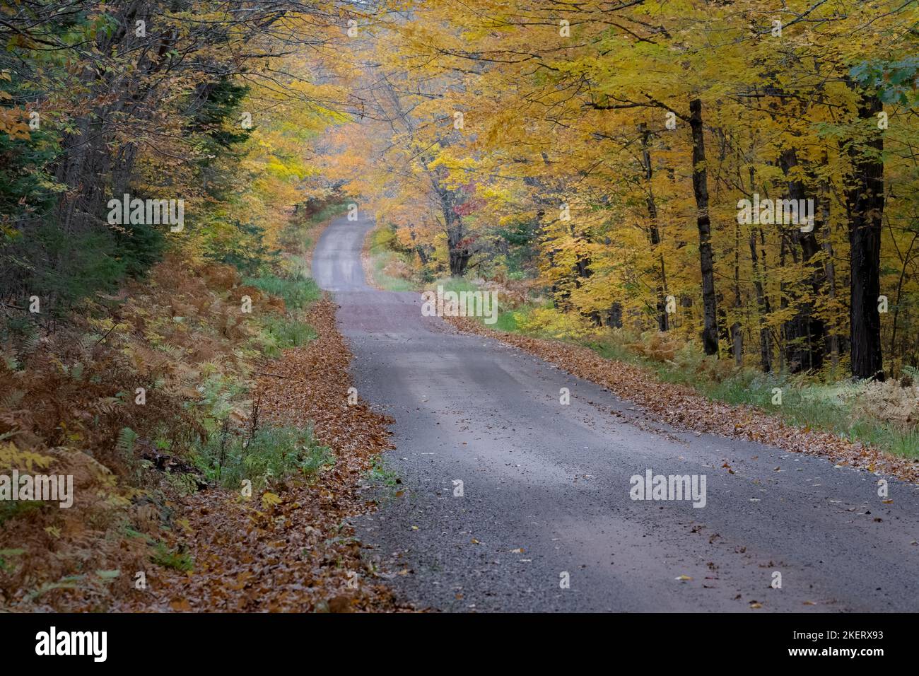 The forest service roads in the Chequamegon-Nicolet national forest in ...