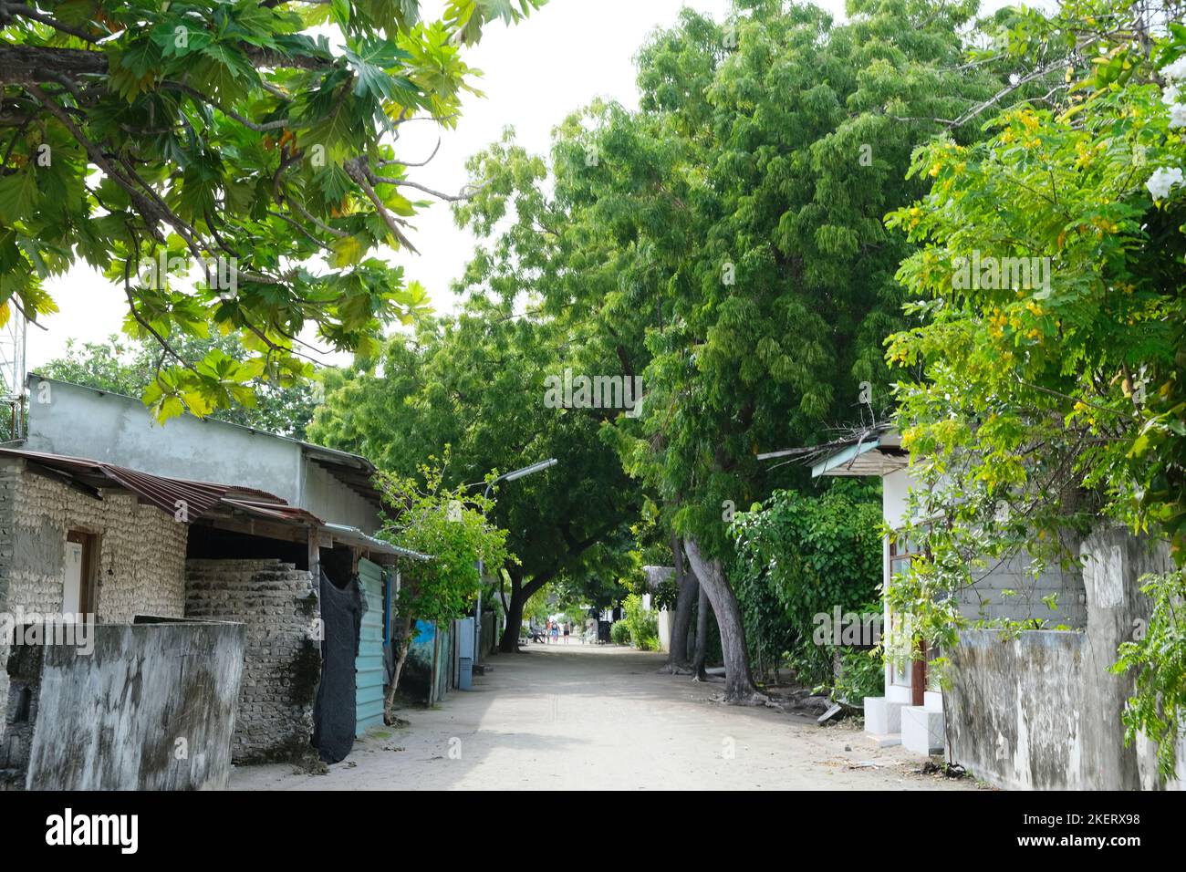 The resident area of Fulidhoo. Fulidhoo is the most northern of the ...