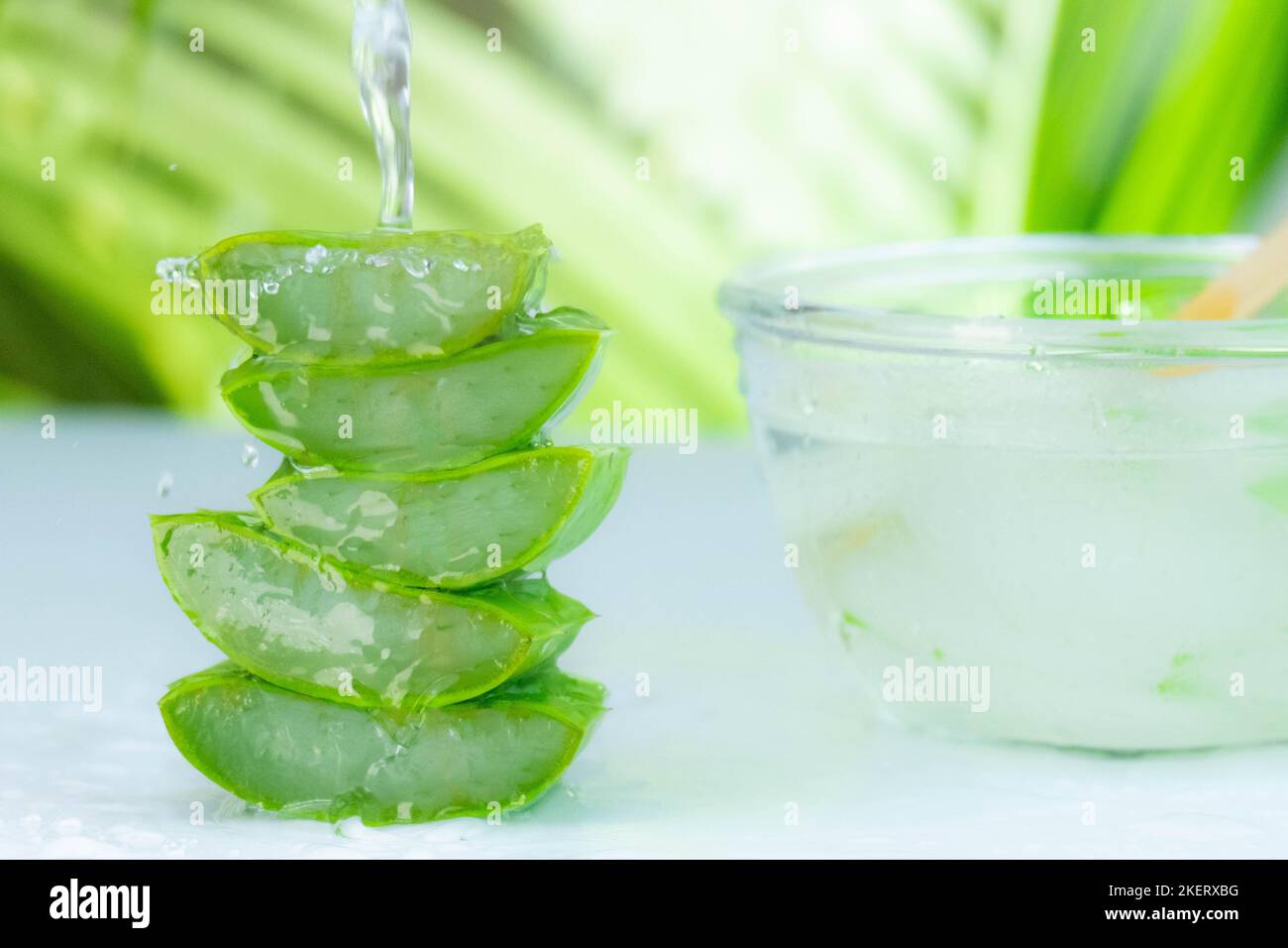 Fresh aloe vera juice in a glass bowl and sliced natural organic aloe ...