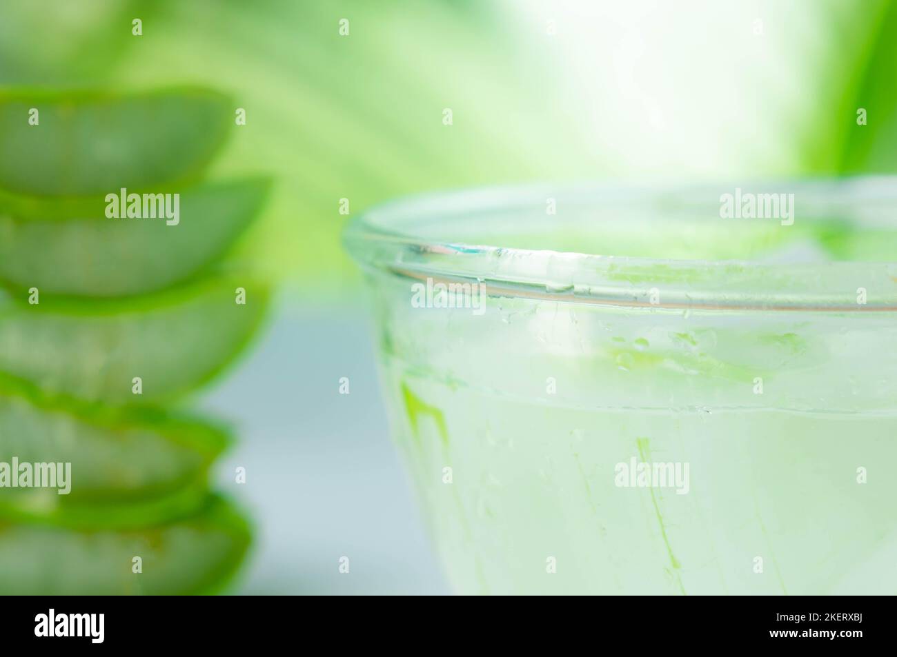 Fresh aloe vera juice in a glass bowl and sliced natural organic aloe ...