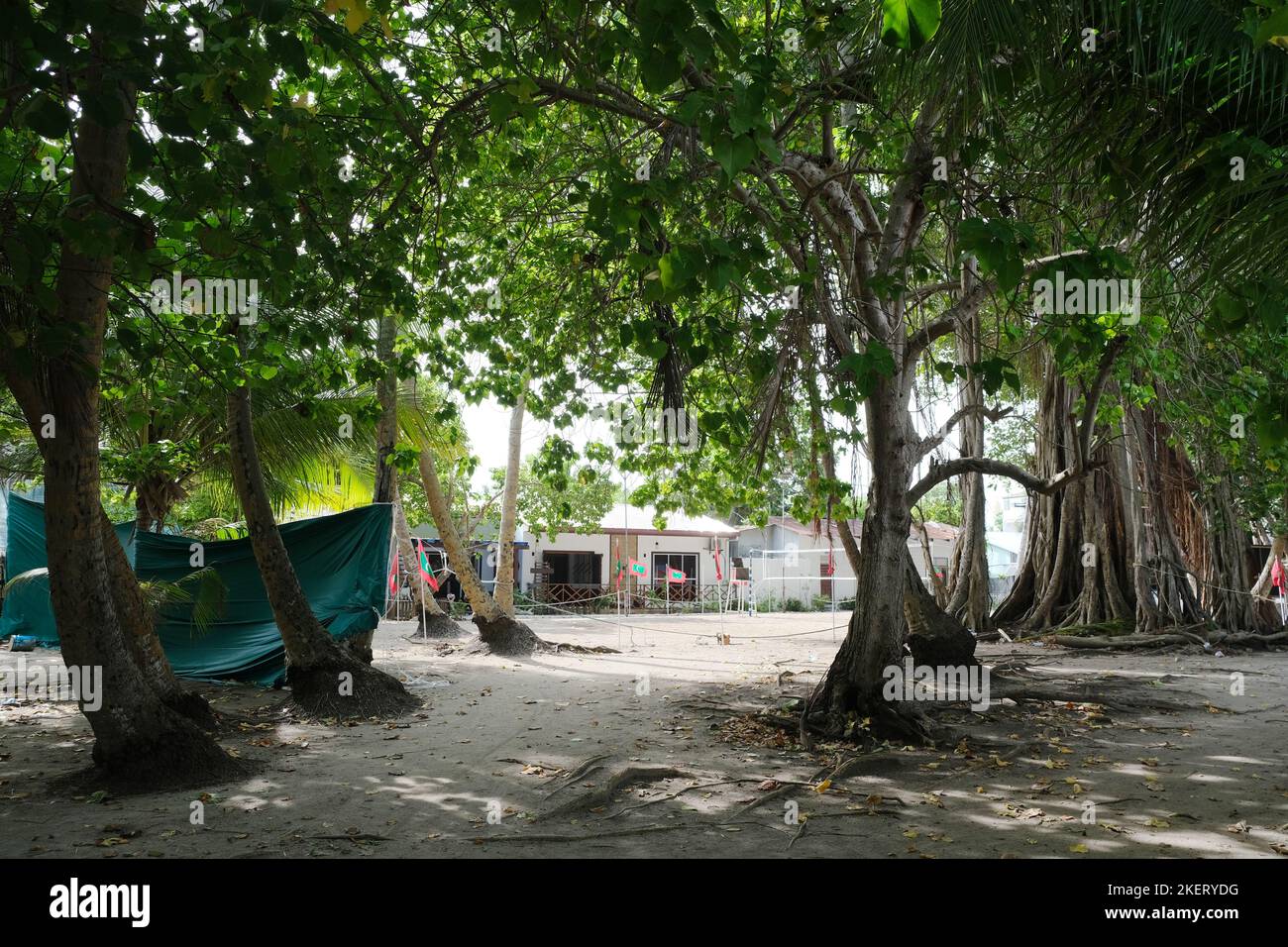 The resident area of Fulidhoo. Fulidhoo is the most northern of the ...