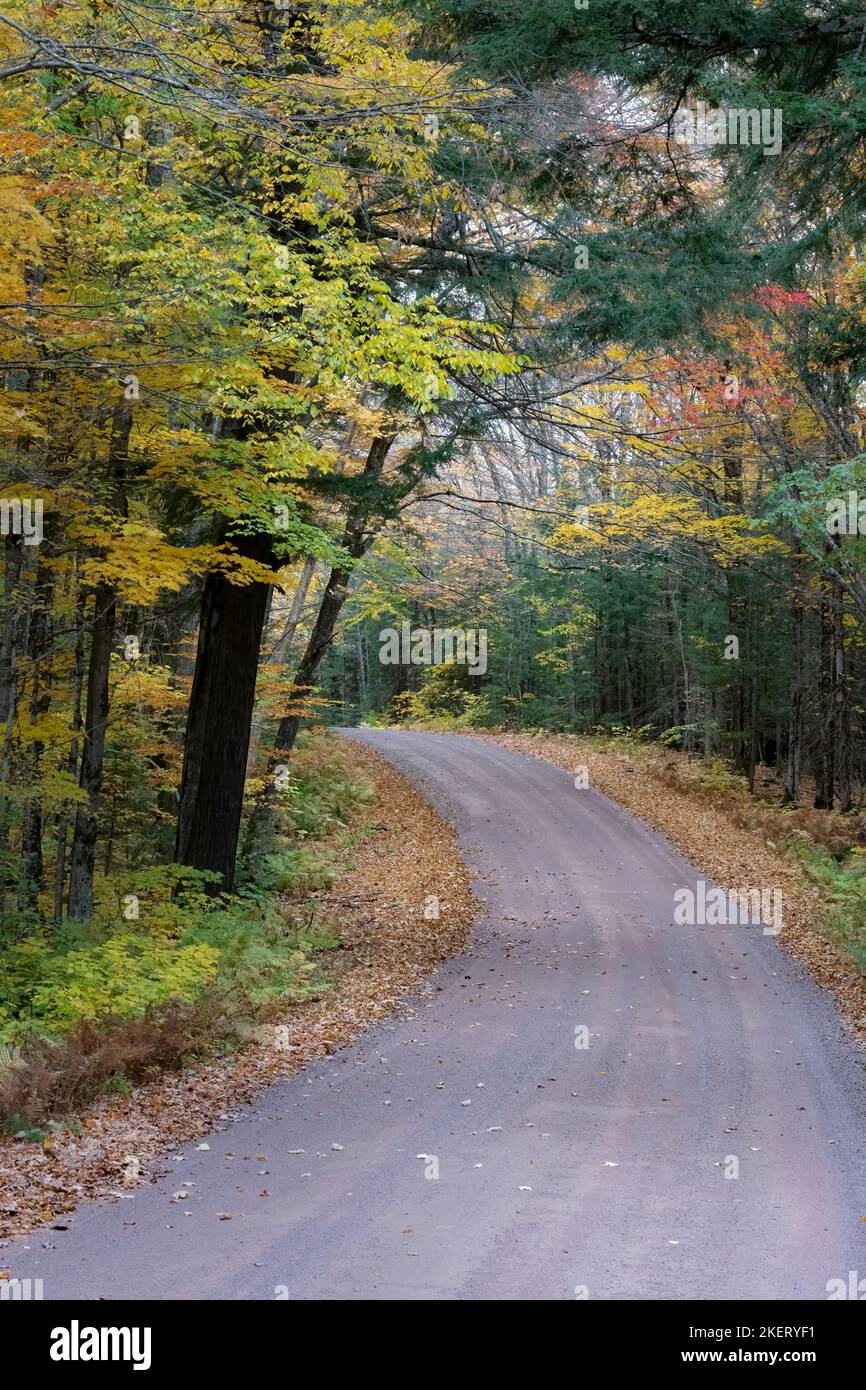 The forest service roads in the Chequamegon-Nicolet national forest in ...