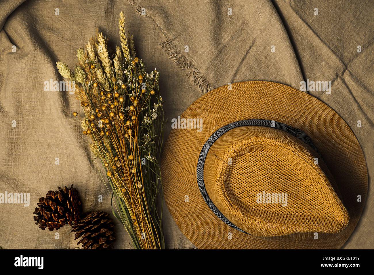 Abstract still life, background of pine cones and dried plants on ...