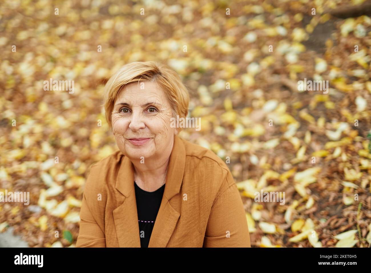 Old woman alone park hi-res stock photography and images - Alamy