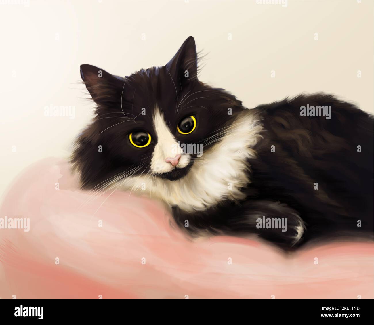 Cat on a pillow hi-res stock photography and images - Alamy