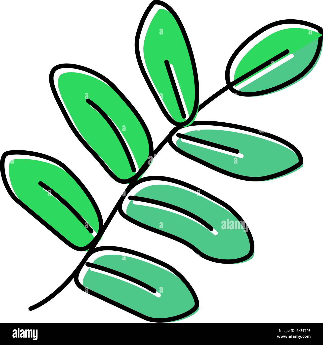 royal fern tropical leaf color icon vector illustration Stock Vector ...