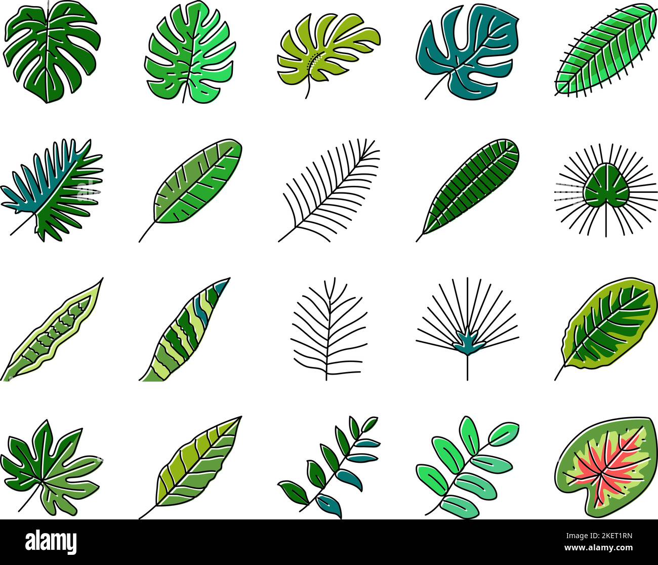 palm leaf summer plant green icons set vector Stock Vector Image & Art ...