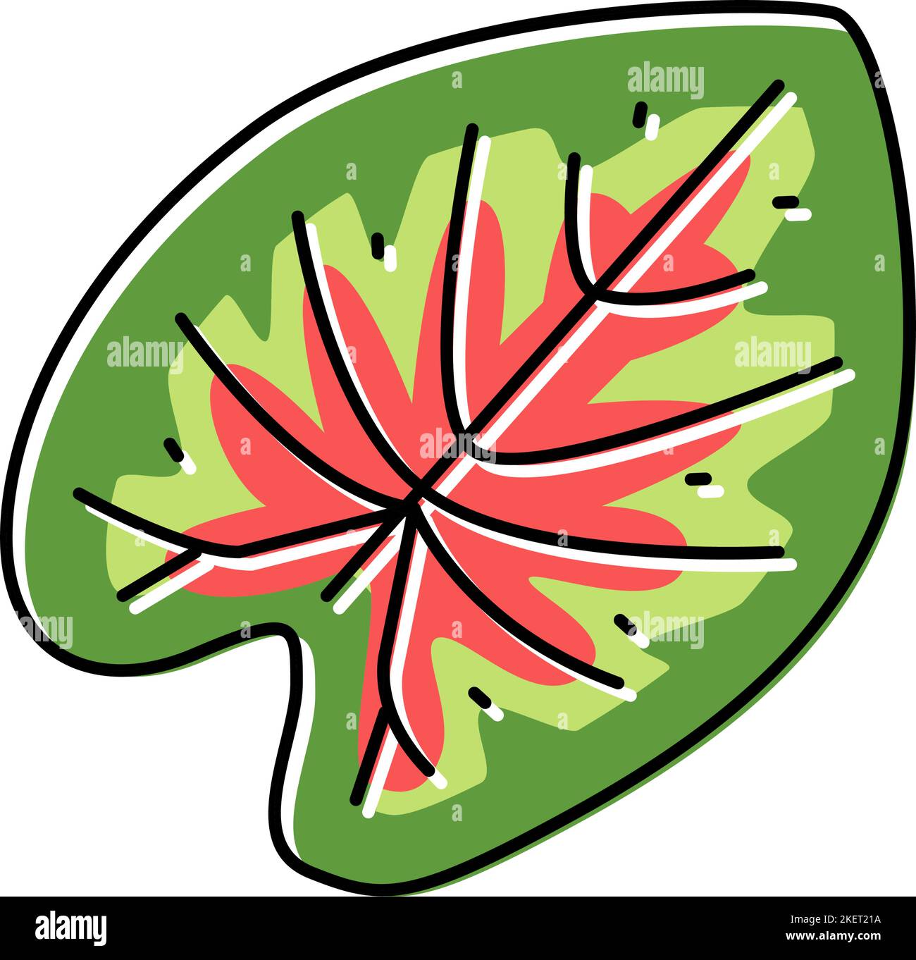 caladium tropical leaf color icon vector illustration Stock Vector ...