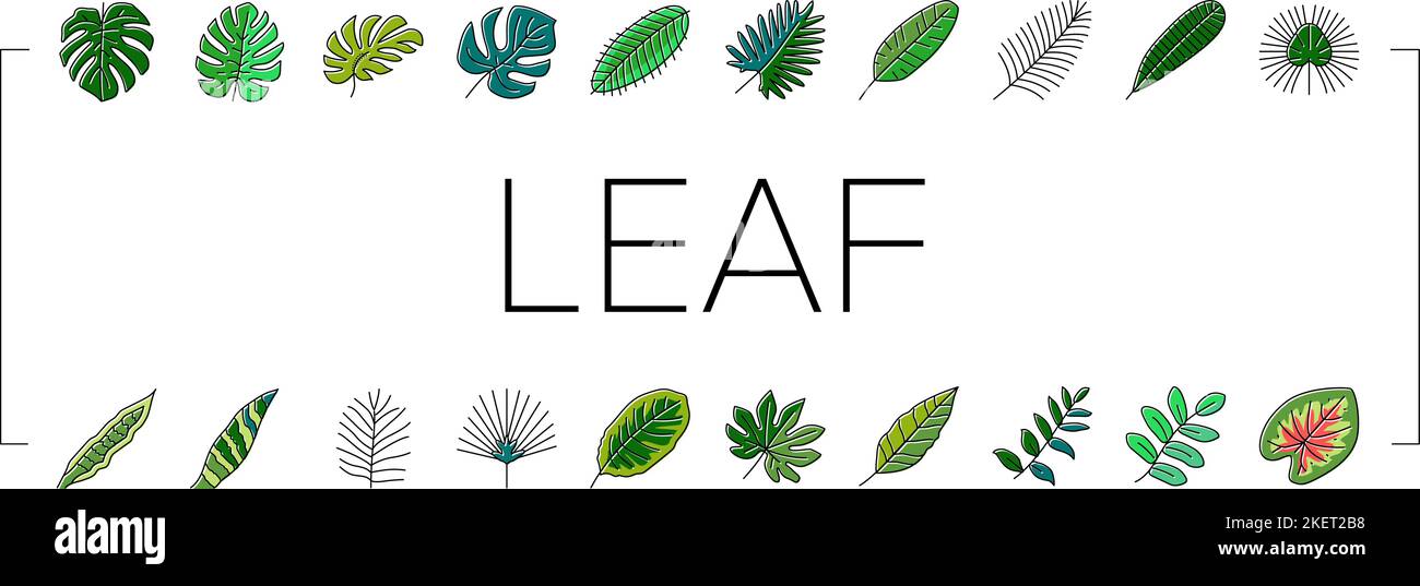 palm leaf summer plant green icons set vector Stock Vector Image & Art ...