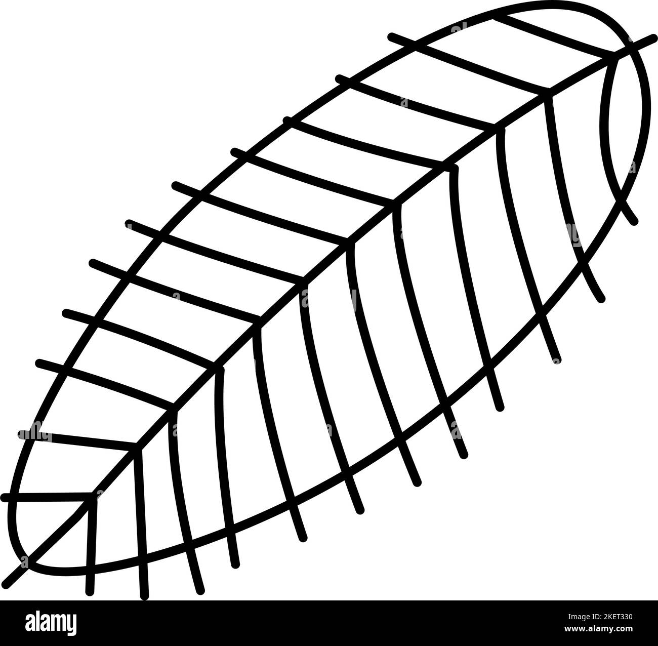 coconut tropical leaf line icon vector illustration Stock Vector Image ...