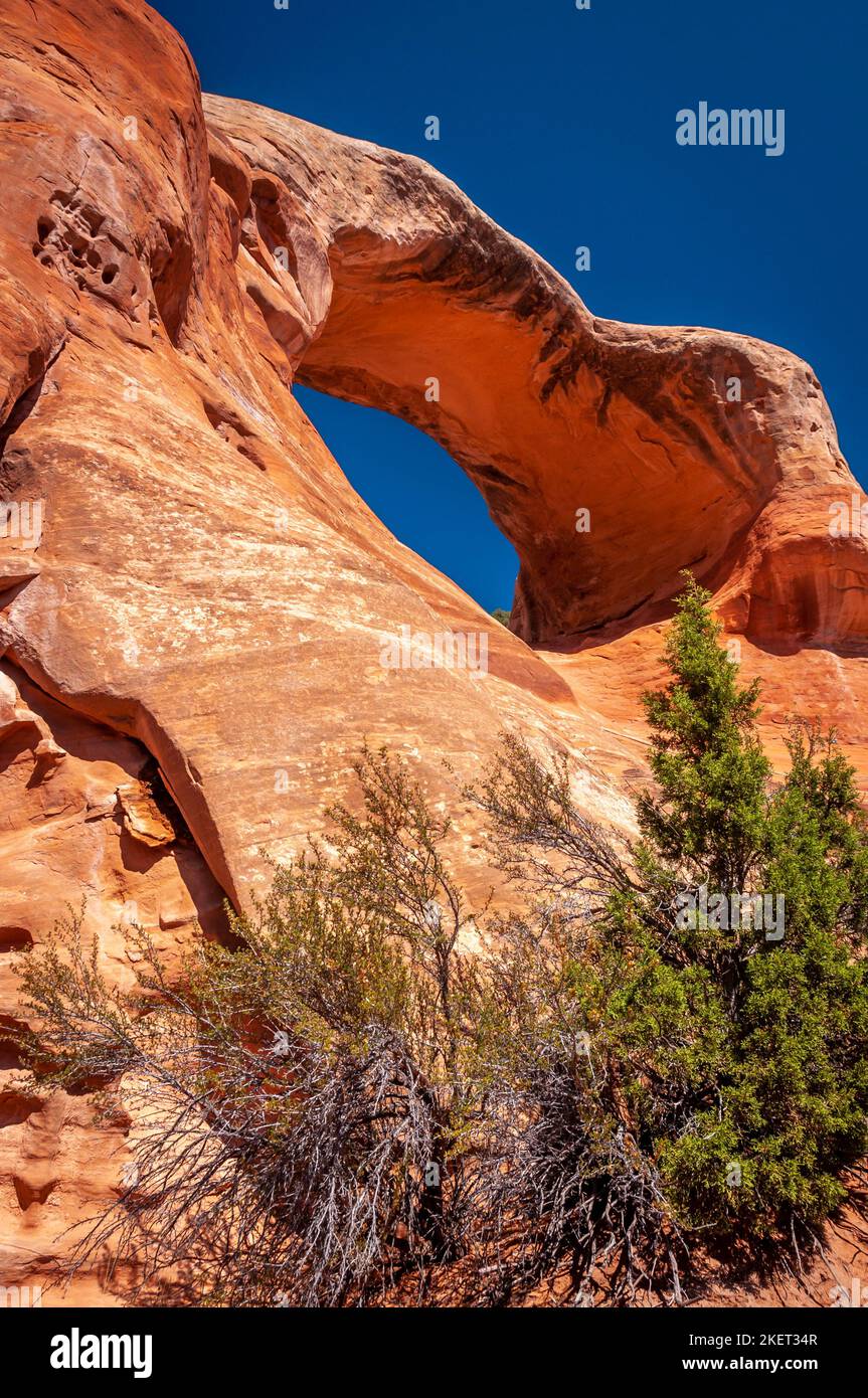Natural sandstone arch in Rattlesnake Canyon, Colorado, surrounded by ...