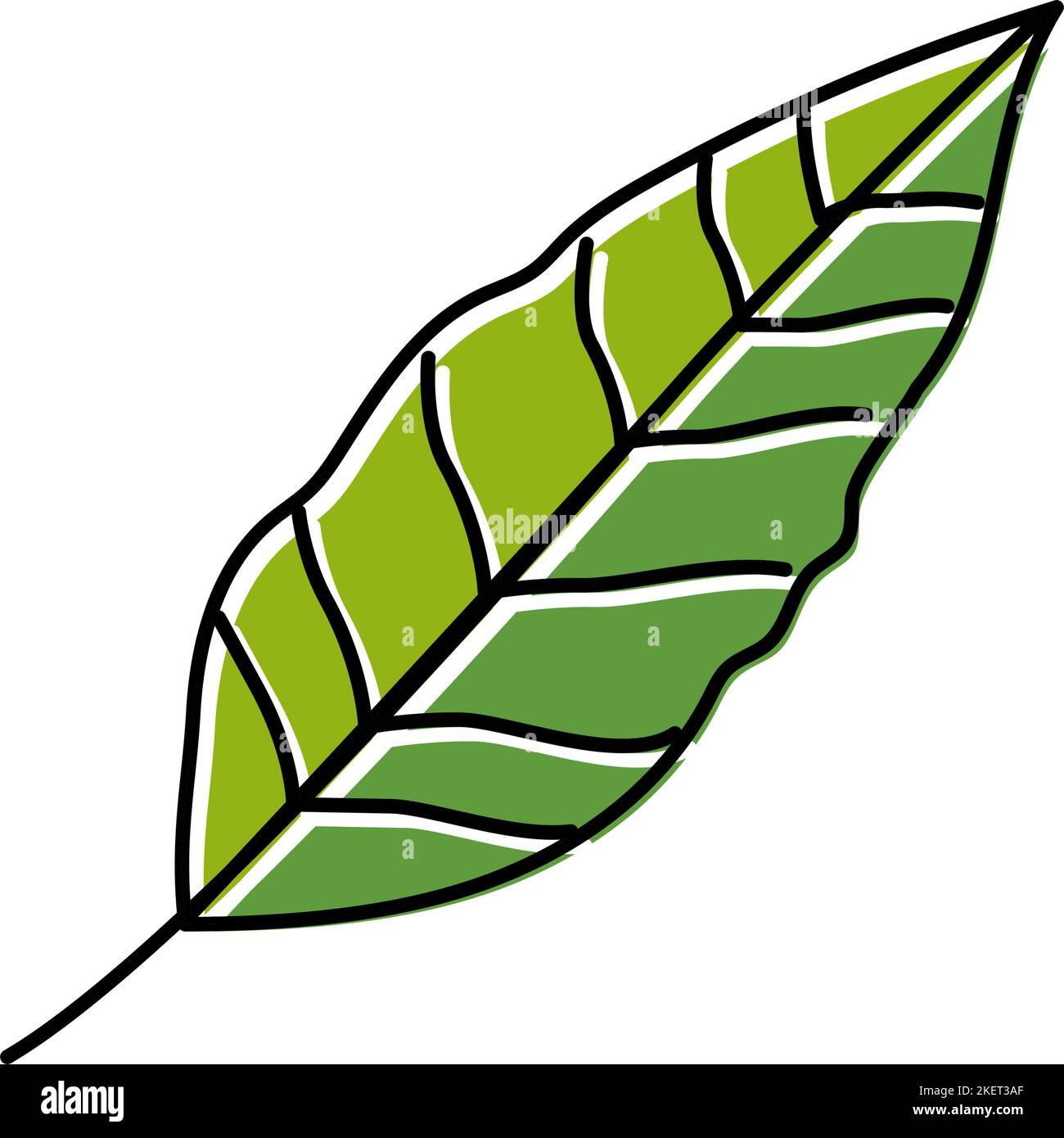 stelizia tropical leaf color icon vector illustration Stock Vector ...