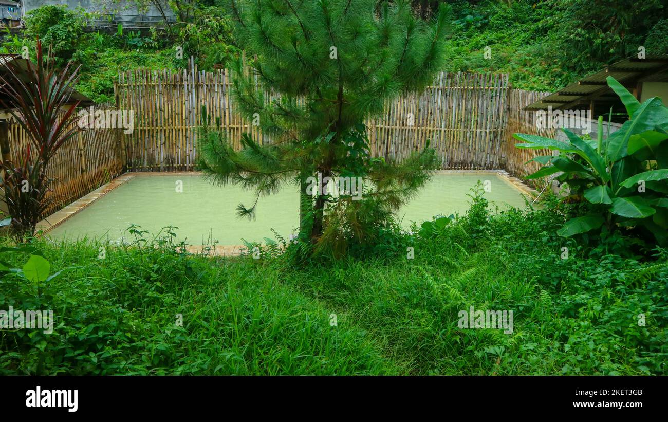 beautiful hot spring pool with greenery Stock Photo - Alamy