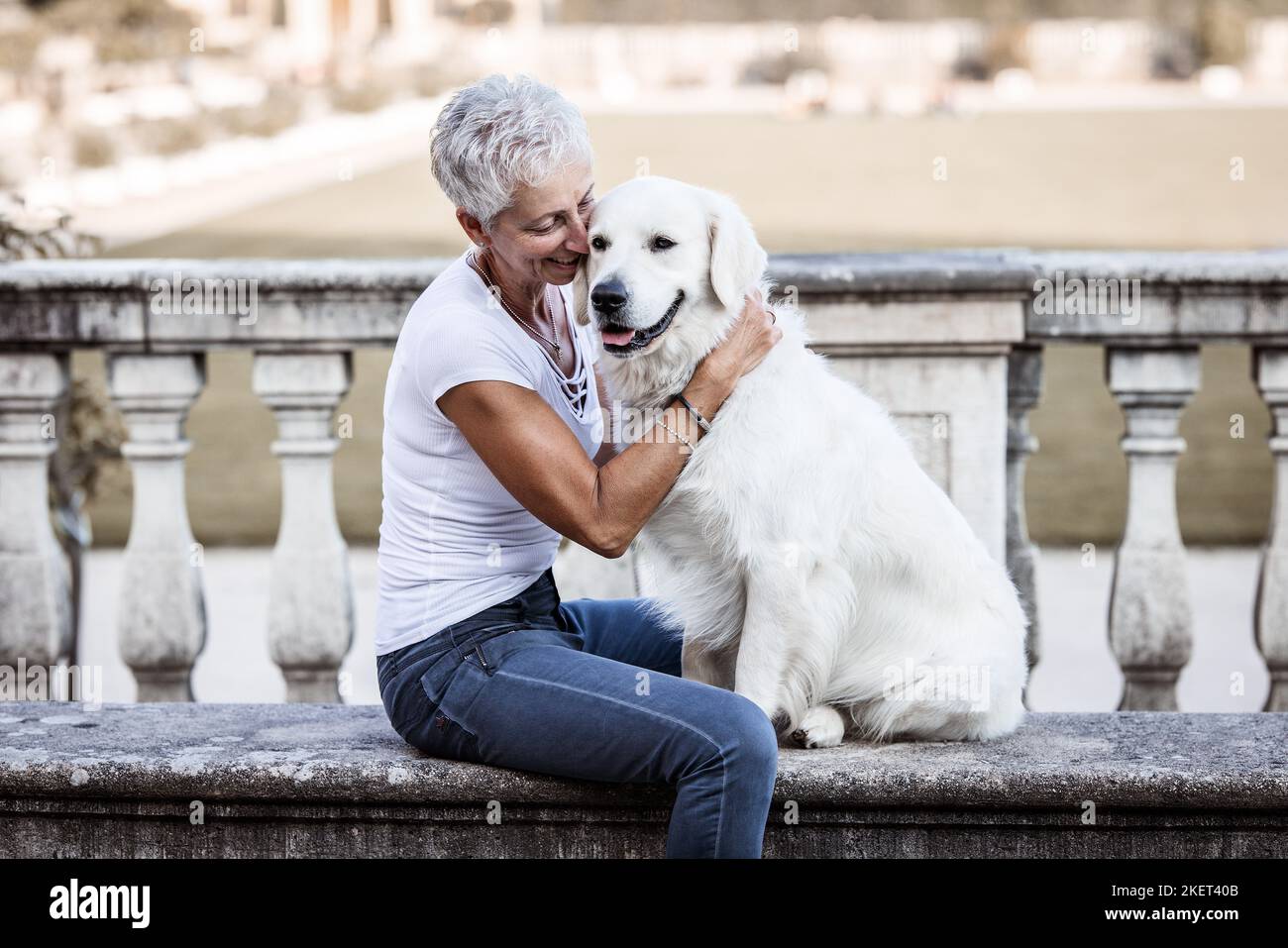 male Golden Retriever Stock Photo - Alamy