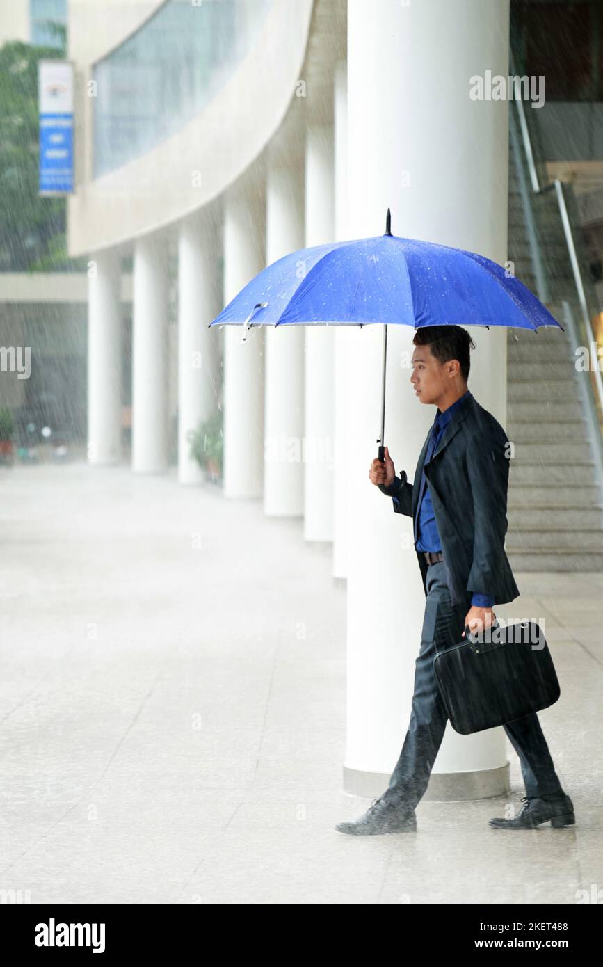 Profile view of confident Asian manager wearing classical suit holding ...