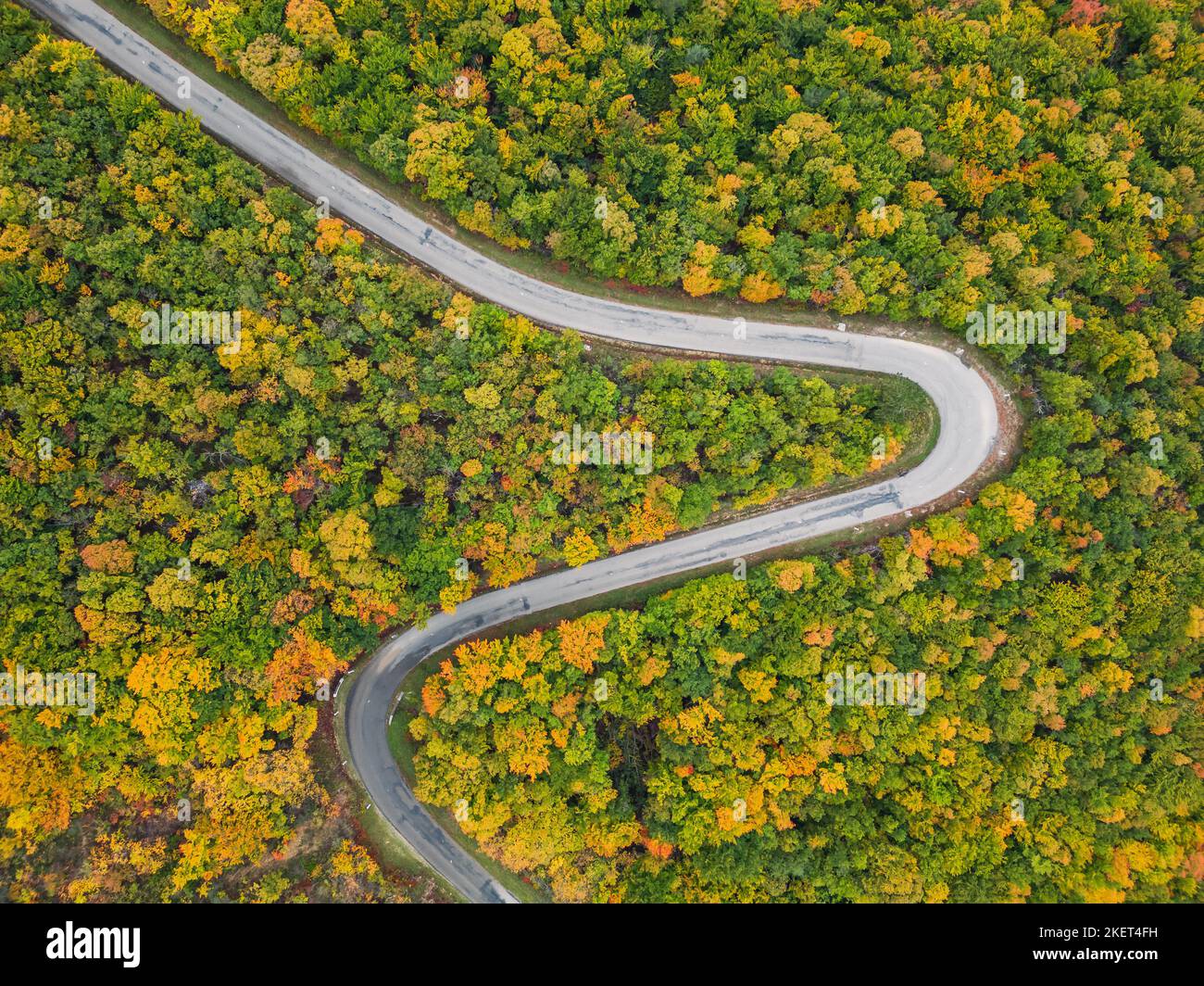 Roadway through trees hi-res stock photography and images - Alamy
